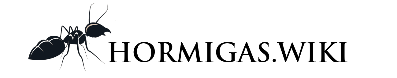 Anatomía de las Hormigas | Hormigas.wiki